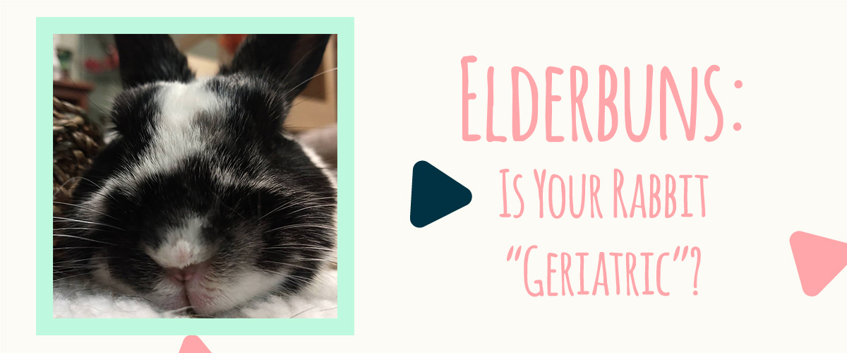 Is your bunny a "senior citizen"?