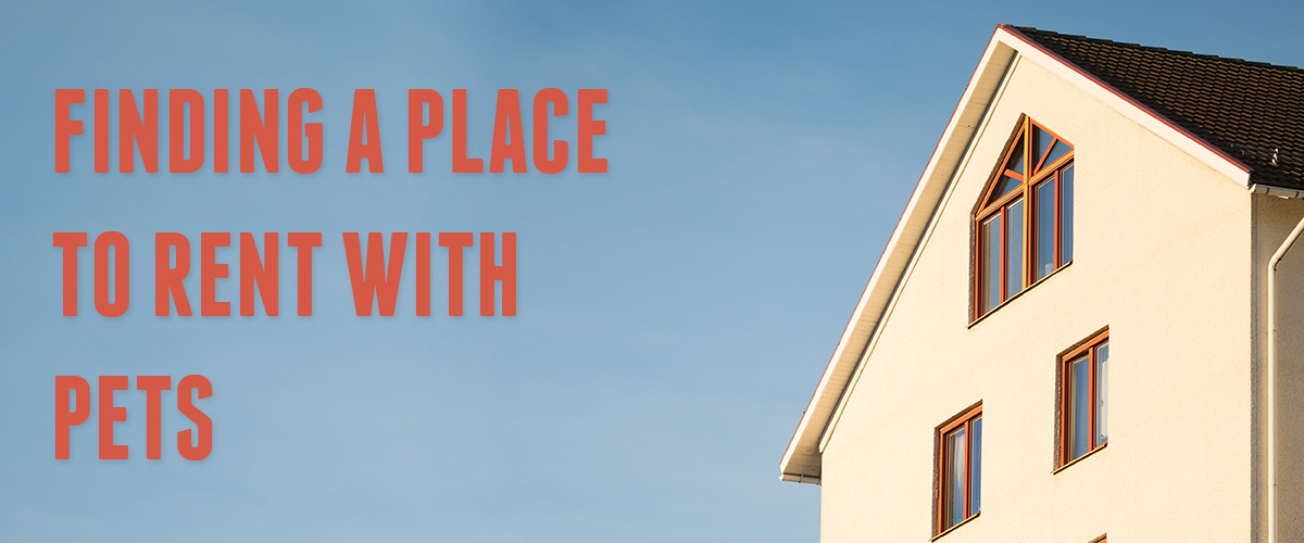 Moving? Make sure your new home is pet-friendly | Small Pet Select