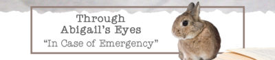 Medical emergency? Abigail has a "Rabbit Rescue Kit" all stocked and ready!