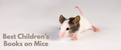 The Best Children's Books on Mice | Small Pet Select
