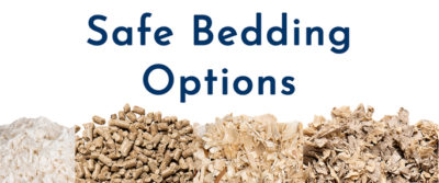 Is your beastie's bedding safe? Here are some options | Small Pet Select
