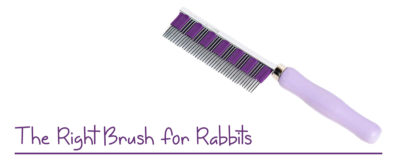 Finding the right brush for rabbits prevents injury and makes grooming fun!