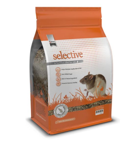 Healthy Habits for Rats... Do These ASAP. | Small Pet Select