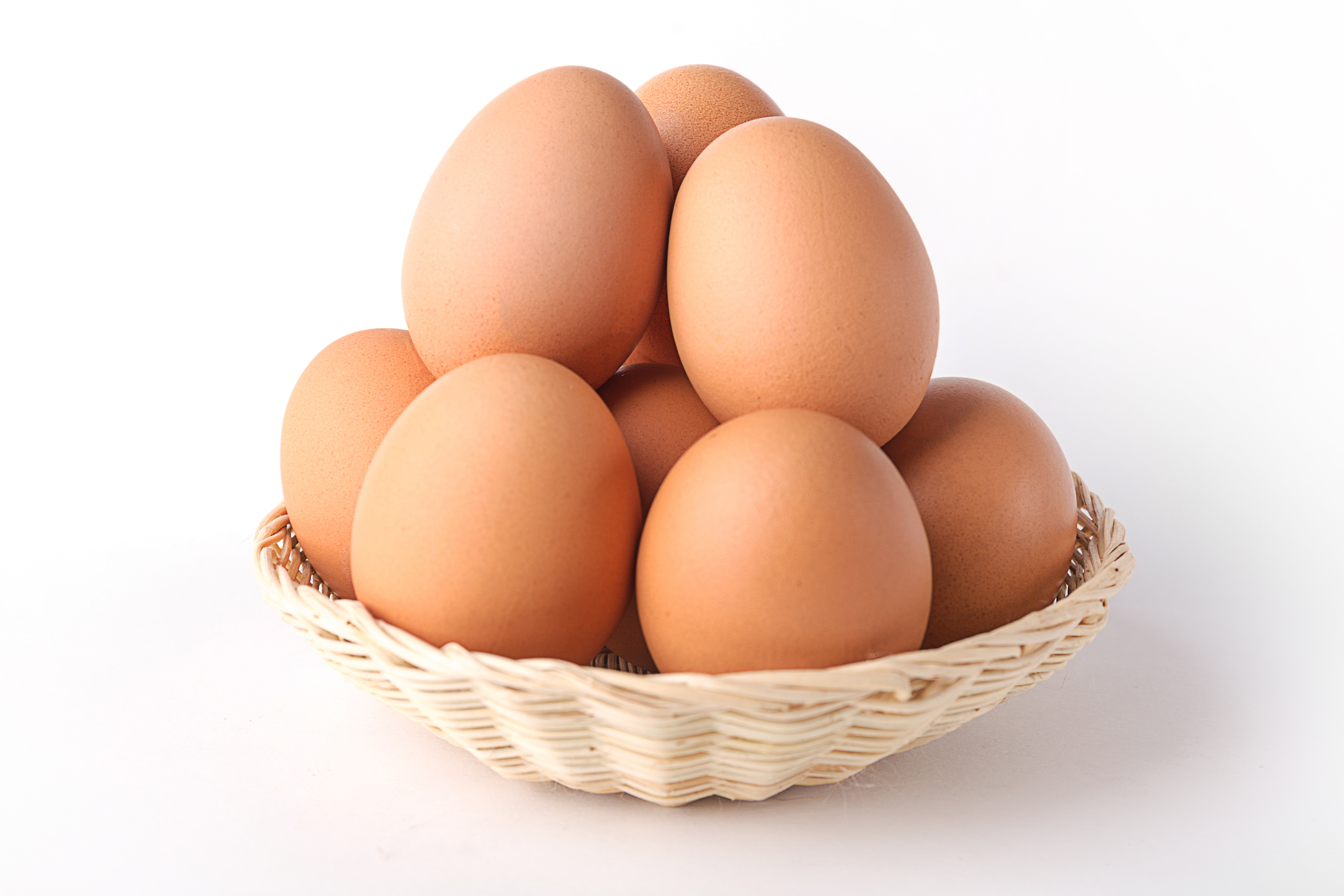 How Are Eggs Made Have You Ever Wondered Small Pet Select
