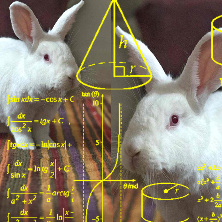 The Celebration of Love has 378 photos. Can Belinda turn that into nine?