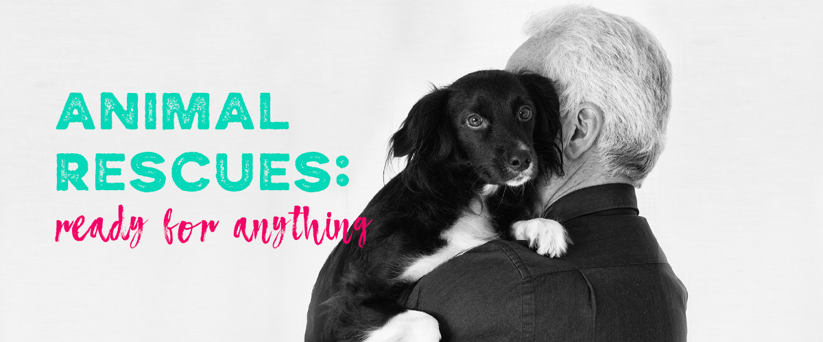 Animal Rescues: Ready for Anything | Small Pet Select