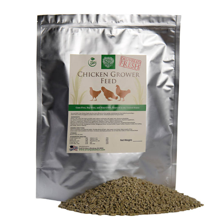 Chicken Feed: All You Need to Know | Small Pet Select
