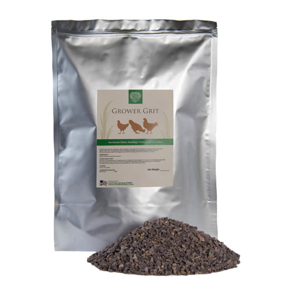 What is "Chicken Grit," and Why do Chickens Need It? | Small Pet Select