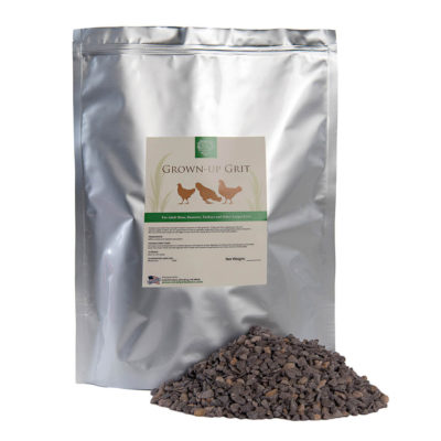 Does a Chicken Anatomy Differ From Other Animals? | Small Pet Select