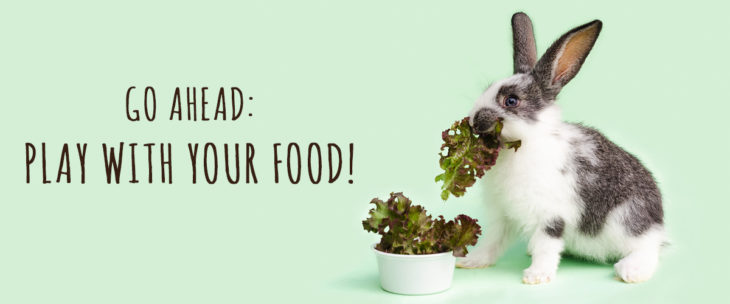 Rabbit Foraging is Healthy. Make it Into a Fun Game! | Small Pet Select