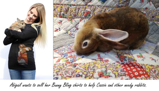 Through Abigail's Eyes - Abigail's Big Idea | Small Pet Select