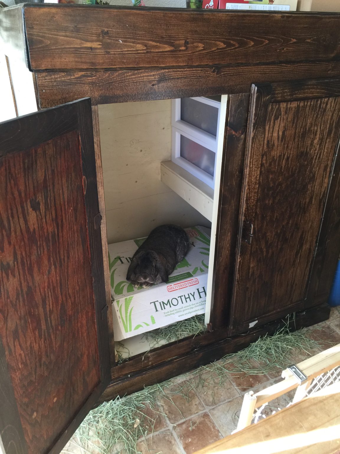 Keeping Bulk Hay at Bay: Storage Solutions | Small Pet Select