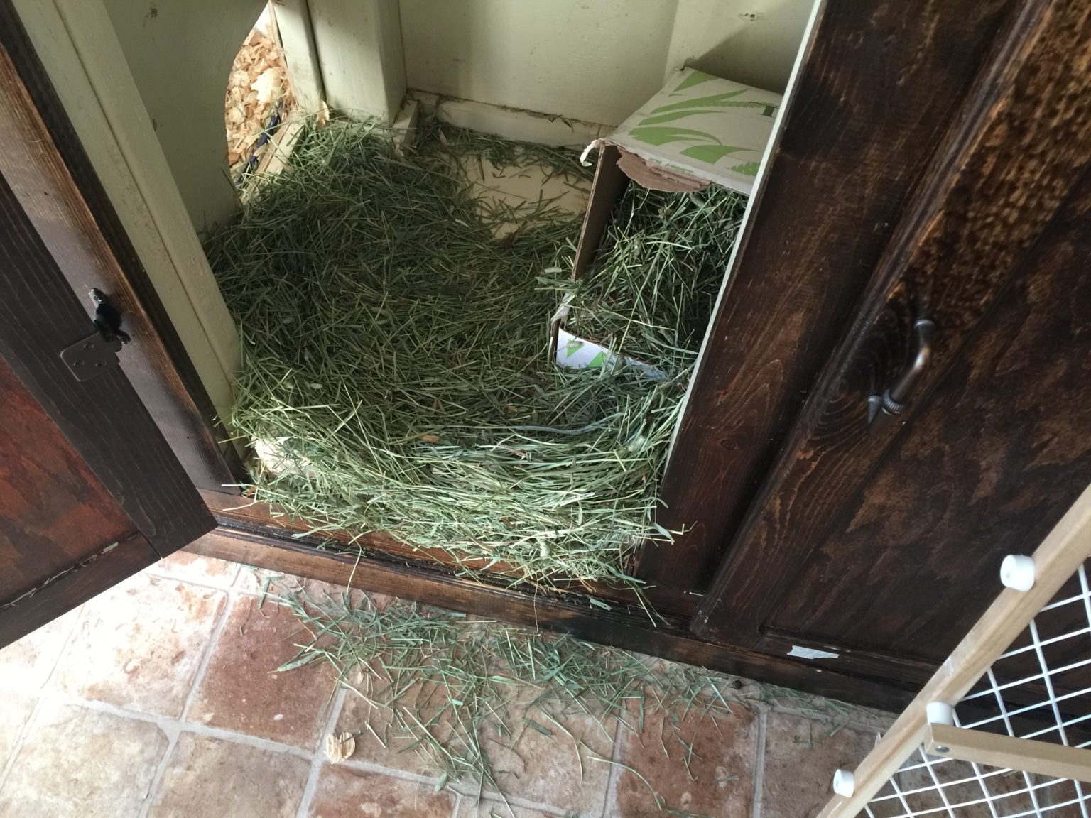 Keeping Bulk Hay at Bay: Storage Solutions | Small Pet Select