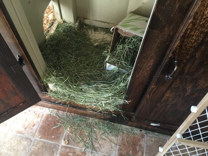 Keeping Bulk Hay at Bay: Storage Solutions | Small Pet Select