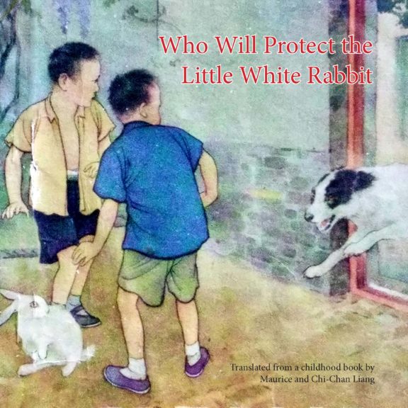 Through Abigail's Eyes - Who Will Protect the Little White Rabbit ...