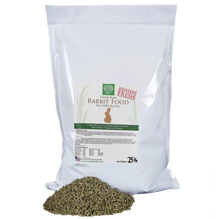 Rabbit Communication: Bunny Communication 101 | Small Pet Select