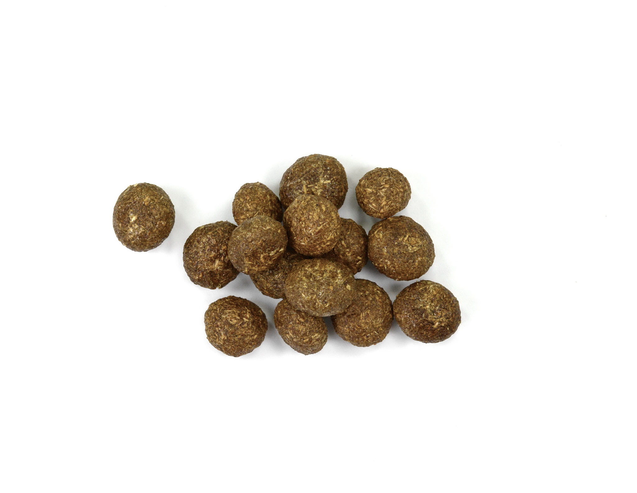 What Rabbit Poop Can Tell You? | Small Pet Select