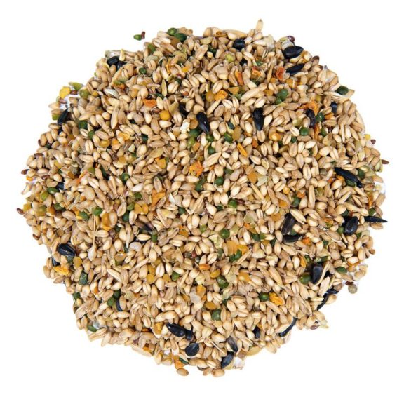 Pros and Cons of Fermenting Chicken Feed | Small Pet Select