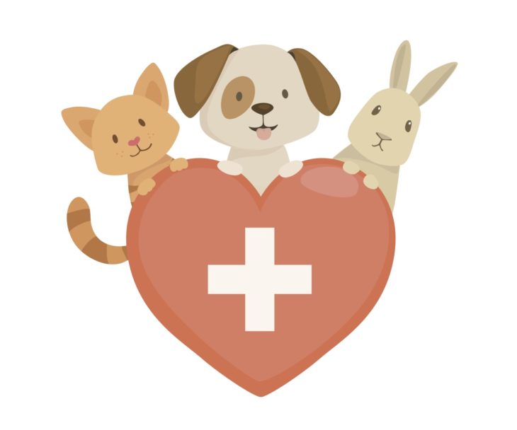 Health Emergency: How to Help a Choking Rabbit | Small Pet Select