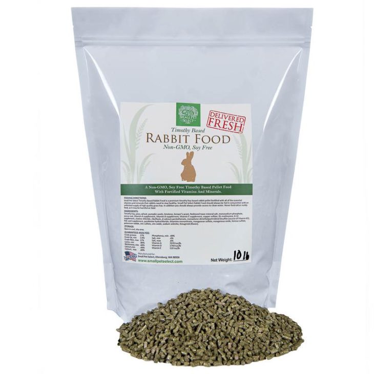 House Rabbit Clicker Training: Why Teach Your Bun? | Small Pet Select