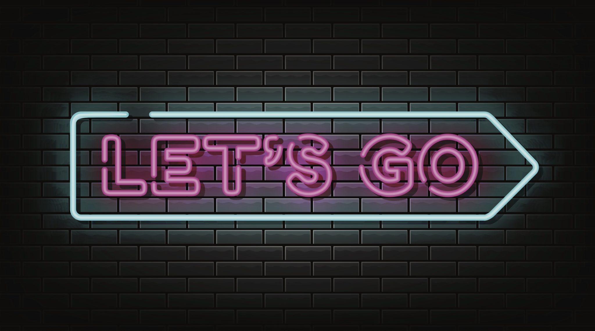 House Rabbit Clicker Training: Step-by-Step | Small Pet Select