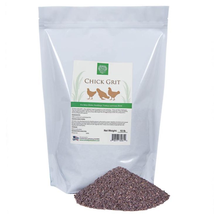 Flighty Hen? Learn How to Trust Train Your Chickens. | Small Pet Select