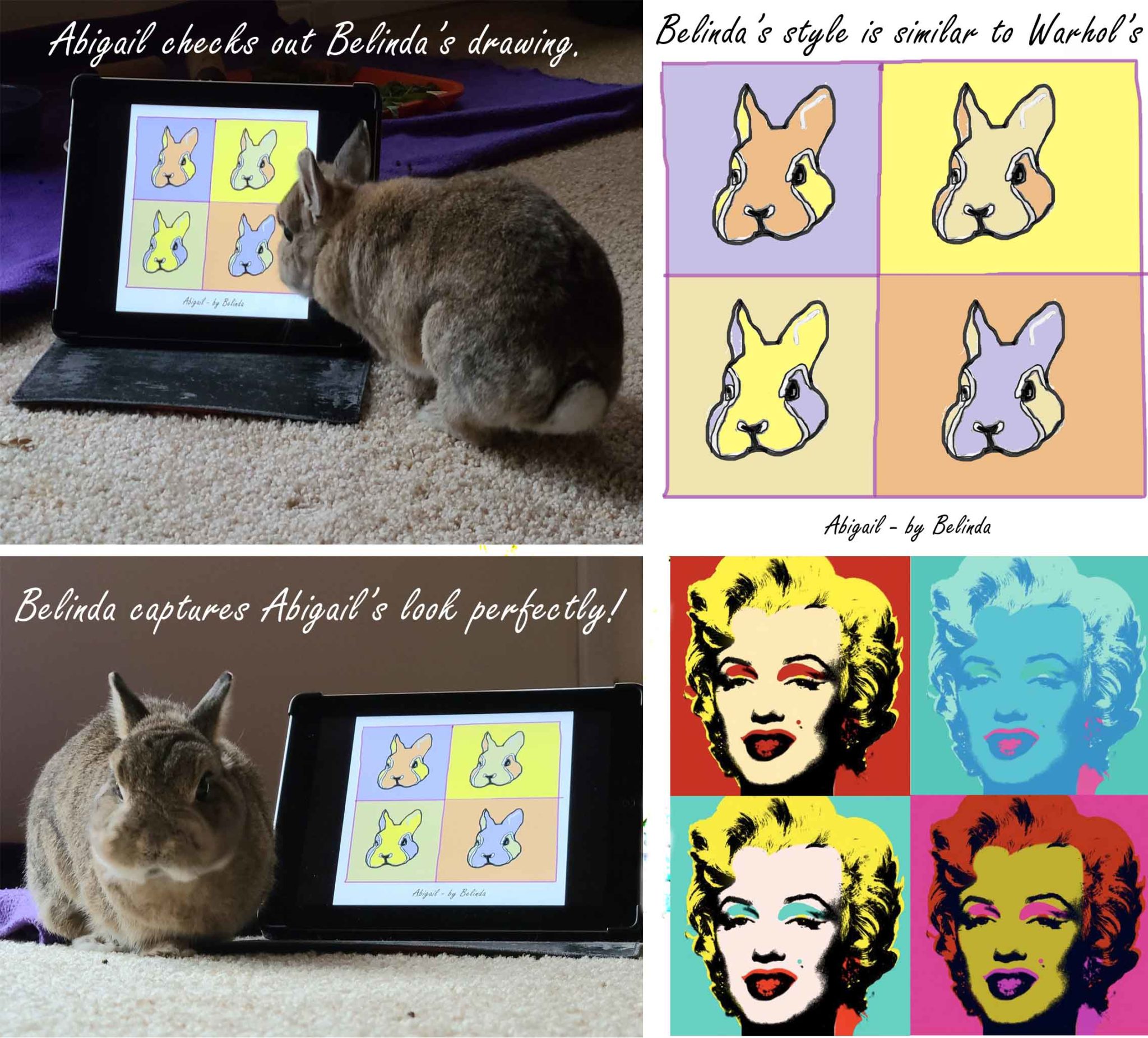 Through Abigail's Eyes - Abigail’s Big Surprise | Small Pet Select