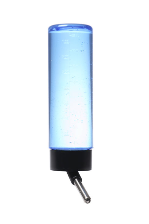 Gerbil Diet: What's on the Menu? | Small Pet Select