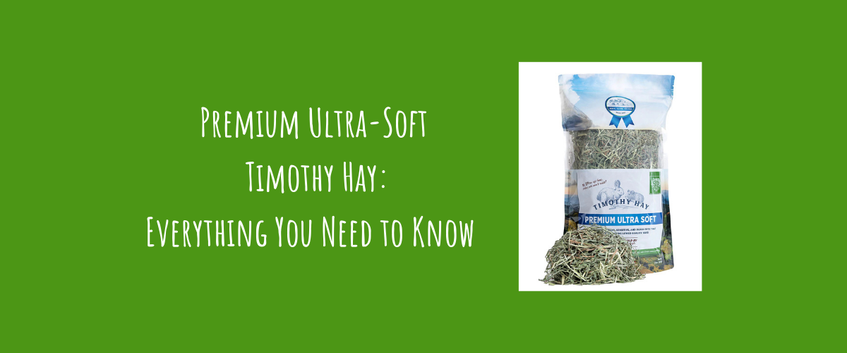 Premium Ultra-Soft Timothy Hay: Everything You Need to Know | Small Pet ...
