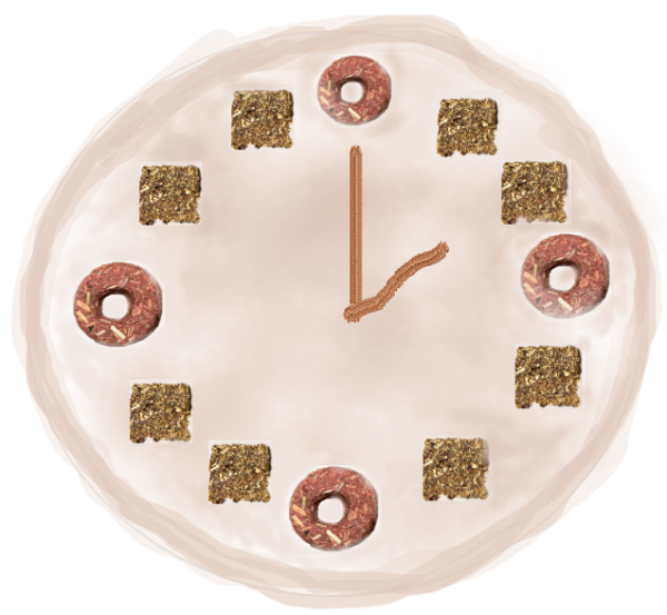 Spring forward? Maybe. Our spokesrabbit tries a new approach.