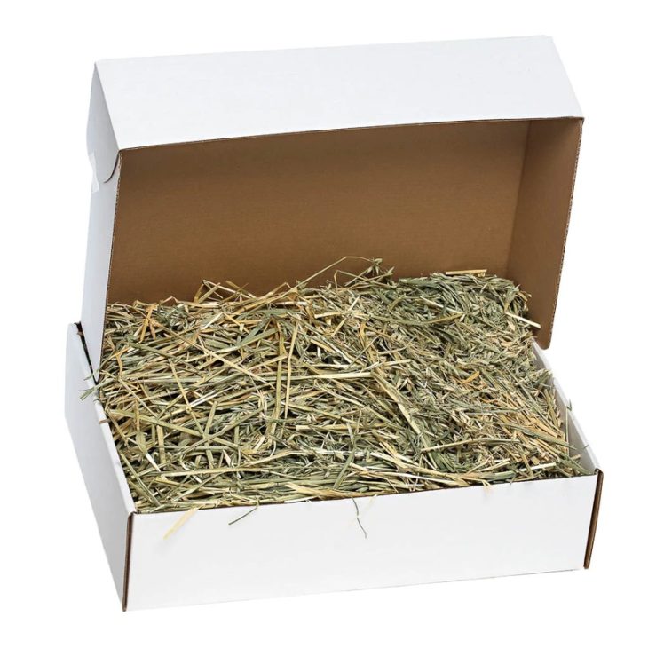 Premium Ultra-Soft Timothy Hay: Everything You Need to Know | Small Pet ...