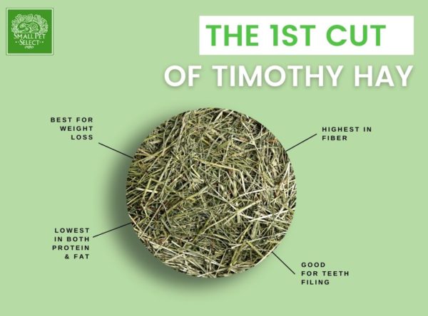 Everything You Need To Know About All 3 Cuts of Timothy Hay | Small Pet ...