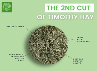 Everything You Need To Know About All 3 Cuts of Timothy Hay | Small Pet ...