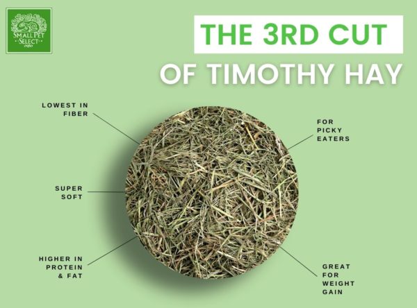 Everything You Need To Know About All 3 Cuts of Timothy Hay | Small Pet ...