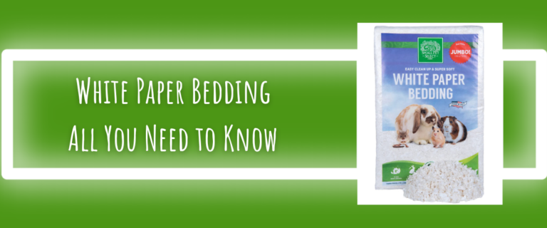 White Paper Bedding: All You Need to Know | Small Pet Select