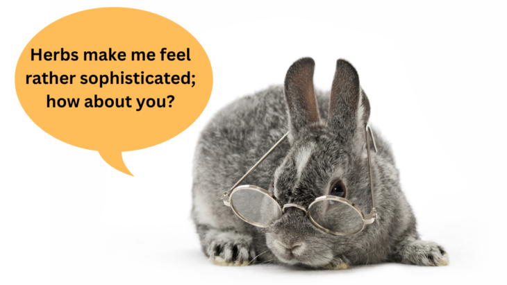 The Top 20 Human Foods Rabbits Can Eat | Small Pet Select Blogs | Small ...