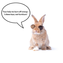 The Complete List Of Engaging Rabbit Toys For Beginners | Small Pet ...