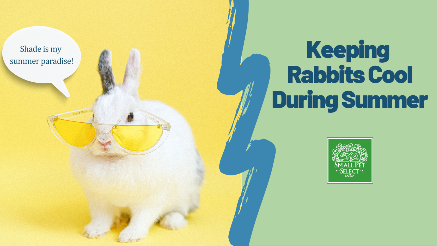 Beat The Heat: Keeping Your Rabbit Cool In The Summer | Small Pet ...