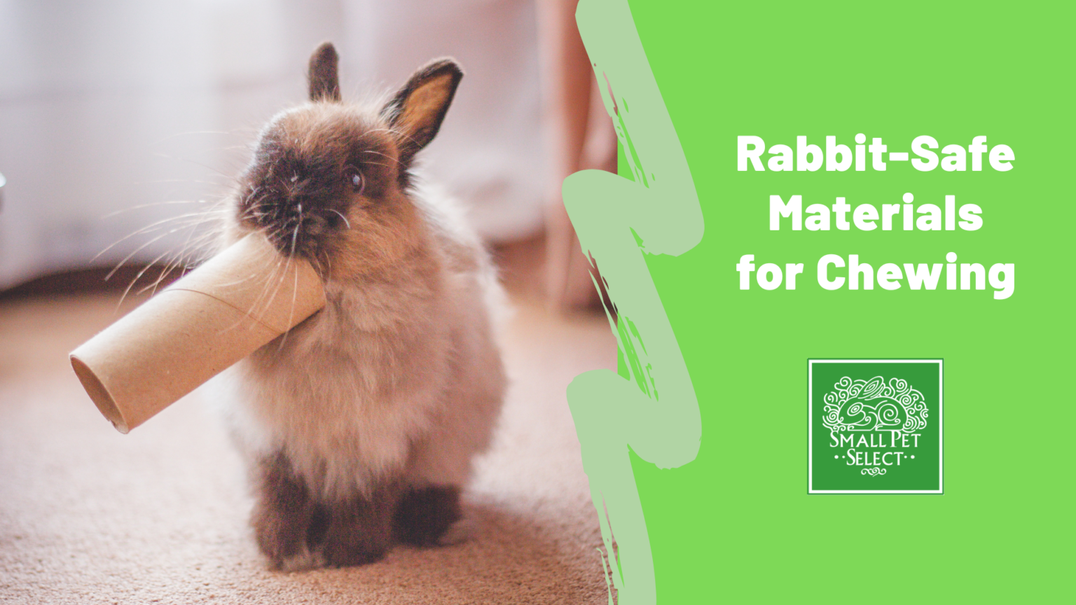 What materials are safe for rabbits to chew? | Small Pet Select Blogs ...