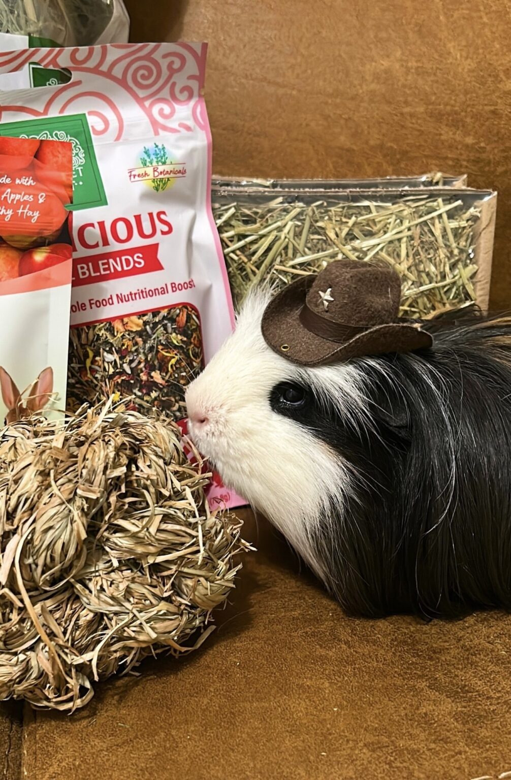 Gizmo: My Monthly Piggy Box Review | Small Pet Select Blogs | Small Pet ...