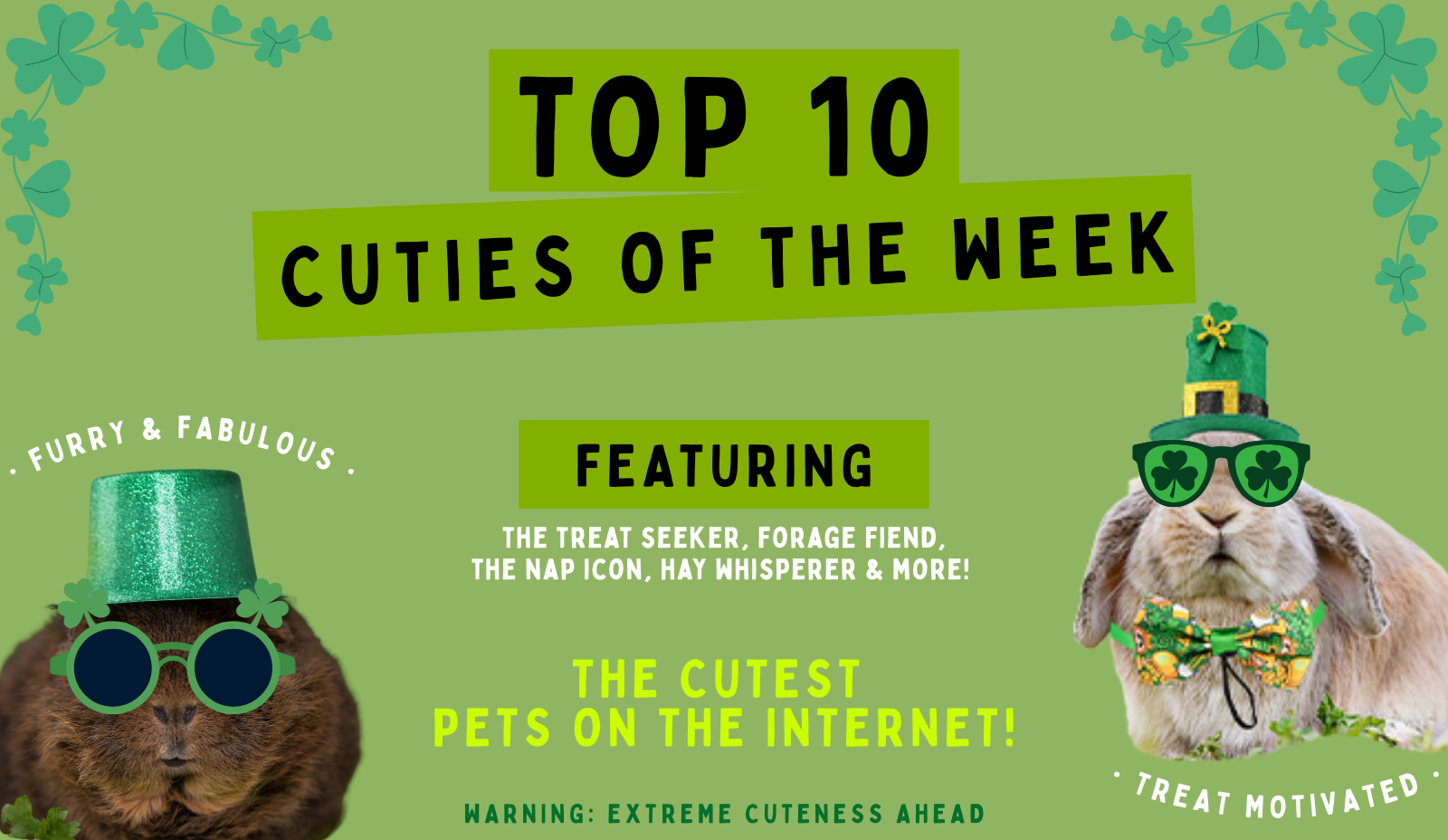 March, 14, 2026: Top Cuties of the Week | Small Pet Select
